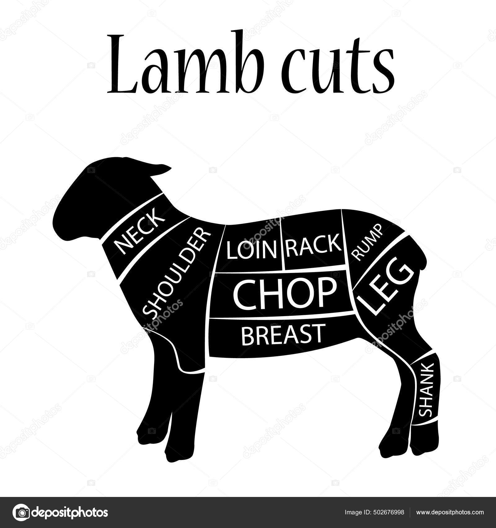 Vector Illustration Lamb Cuts Diagramm Chart Lamb Black Silhouette ...