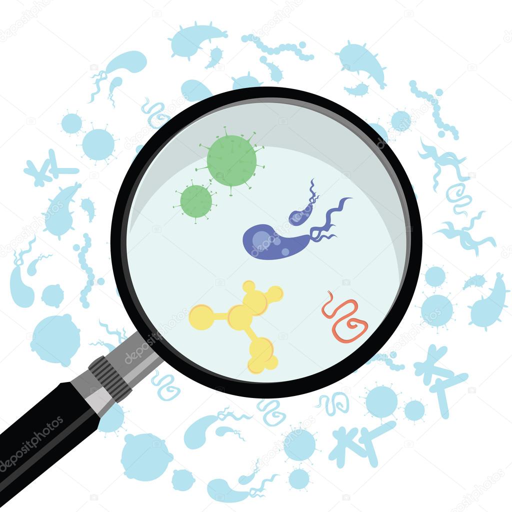 Lupa y bacterias Vector de stock #91386498 de ©viktorijareut