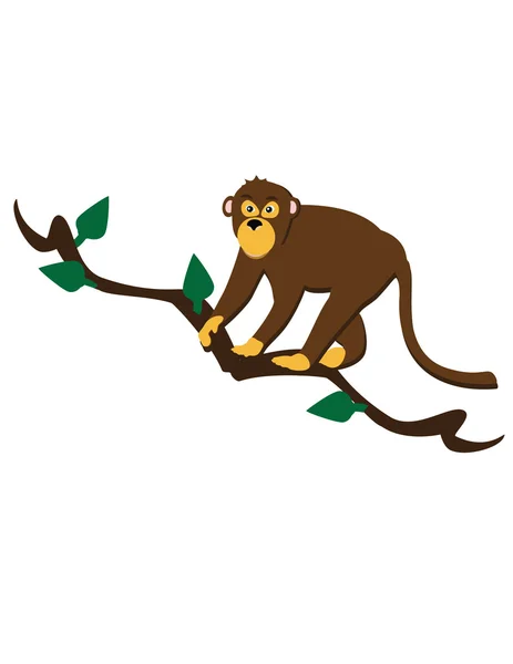 135 Ilustraciones de Mono chango animado de Stock | Depositphotos