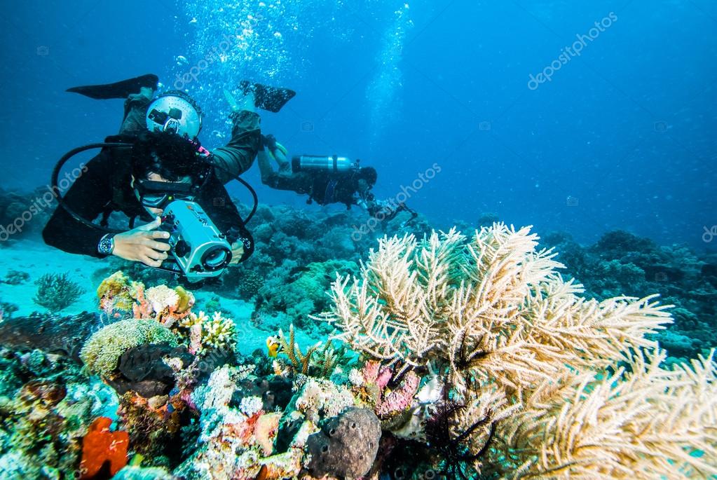 Buzo tomar una foto sobre coral kapoposang indonesia buceo — Foto de ...
