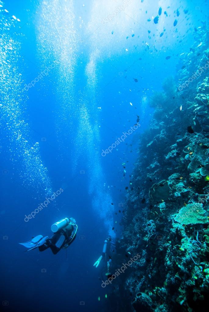 Diver blue water scuba diving bunaken indonesia sea reef ocean — Stock ...