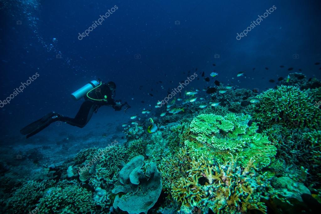 Diver blue water scuba diving bunaken indonesia sea reef ocean — Stock ...