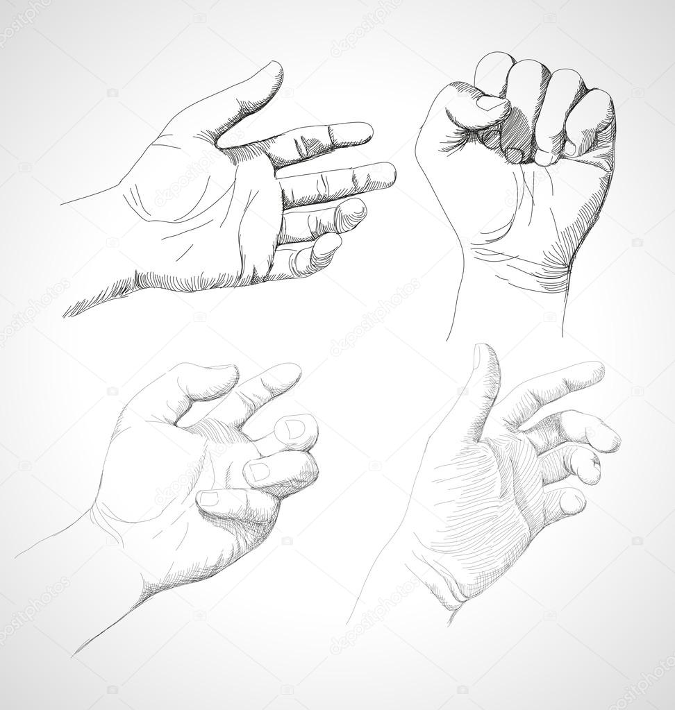 Hand Stock Vector Image by ©theerapolsriin #56632021