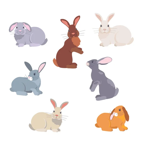 Flat vector set of white rabbit in different poses. Adorable mammal ...