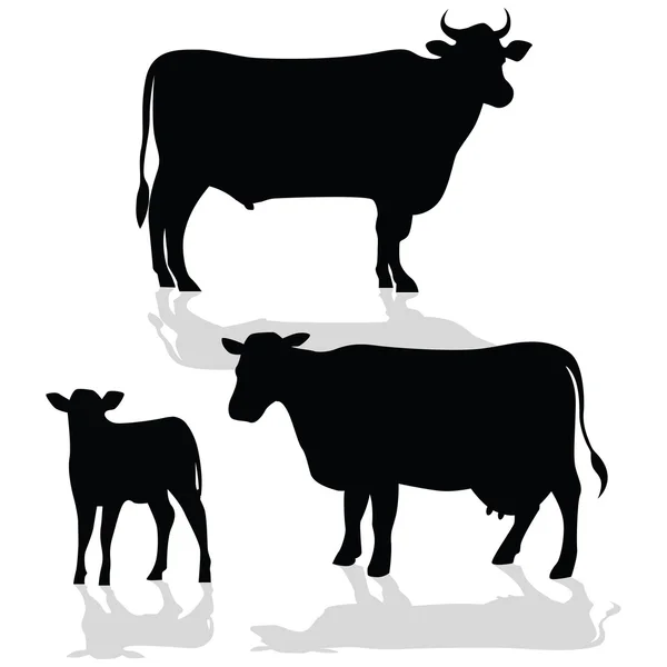 Cow Calf Silhouette