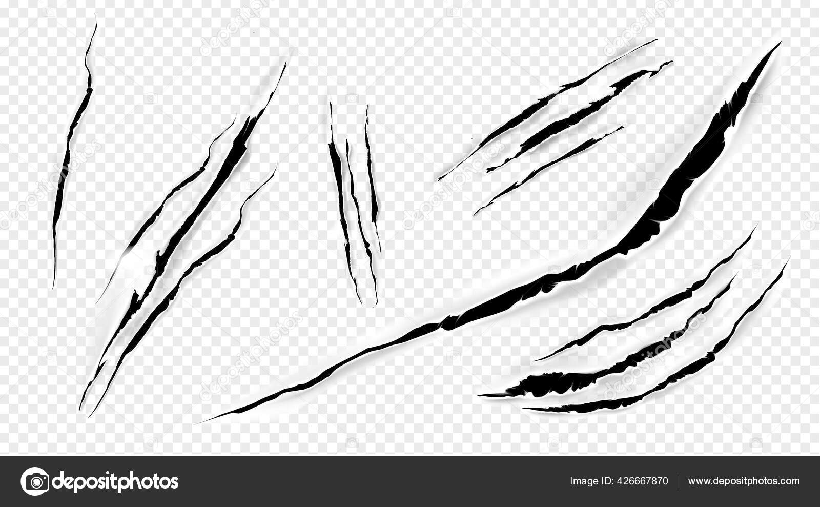 Cat marks, claws scratches isolated vector set Stock Vector Image by ...