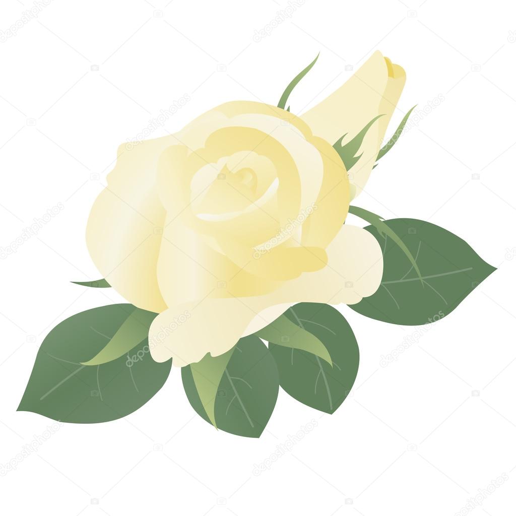 Floral background with yellow roses. Stock Vector Image by ©klyaksun ...