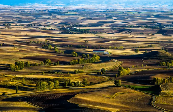 Farmland new zealand Stock Photos, Royalty Free Farmland new zealand ...