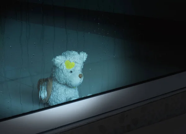 Teddy bear window Stock Photos, Royalty Free Teddy bear window Images ...