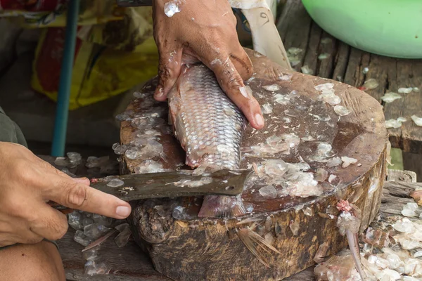 Removing fish scales using fish Knife - Stock Image - Everypixel
