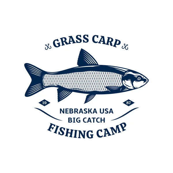 Çimen sazanı Imágenes Vectoriales, Gráfico Vectorial de Çimen sazanı ...