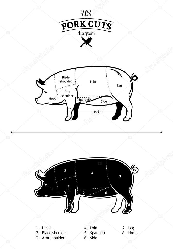 Pork Chart Cuts Of Meat