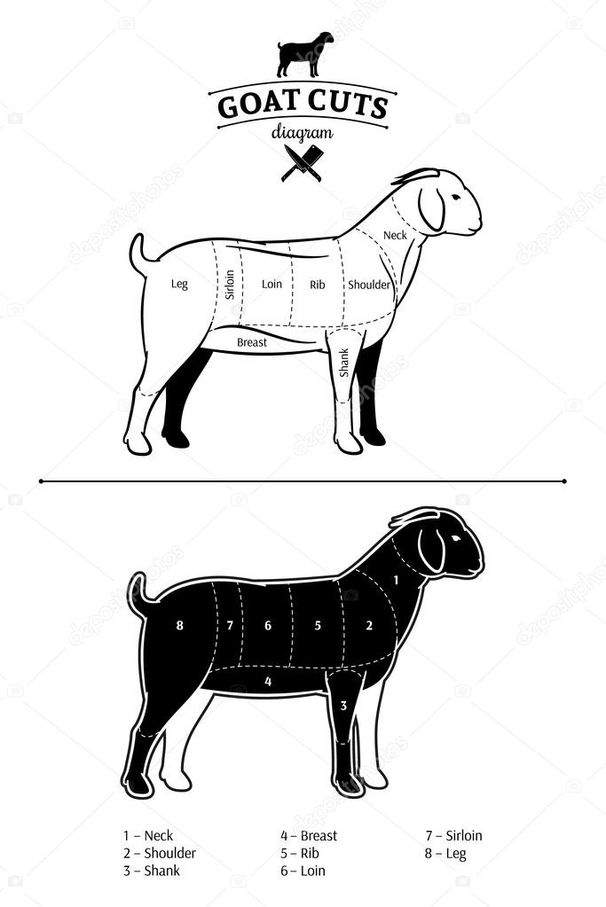 Cuts Of Goat Diagram
