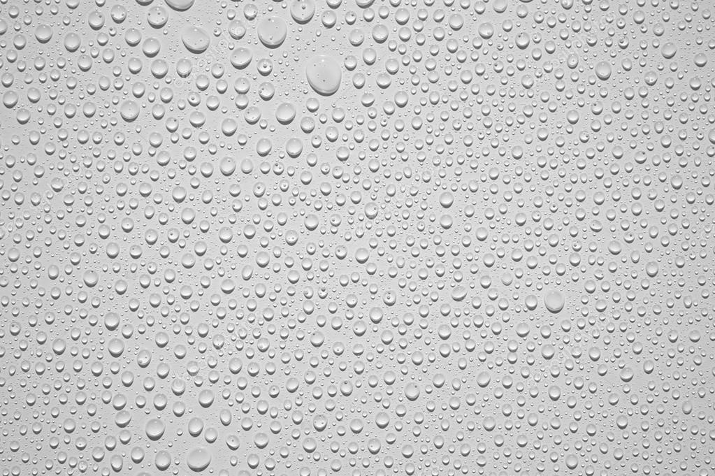 Water Drops White Background