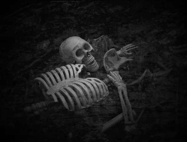 Dead person Stock Photos, Royalty Free Dead person Images | Depositphotos