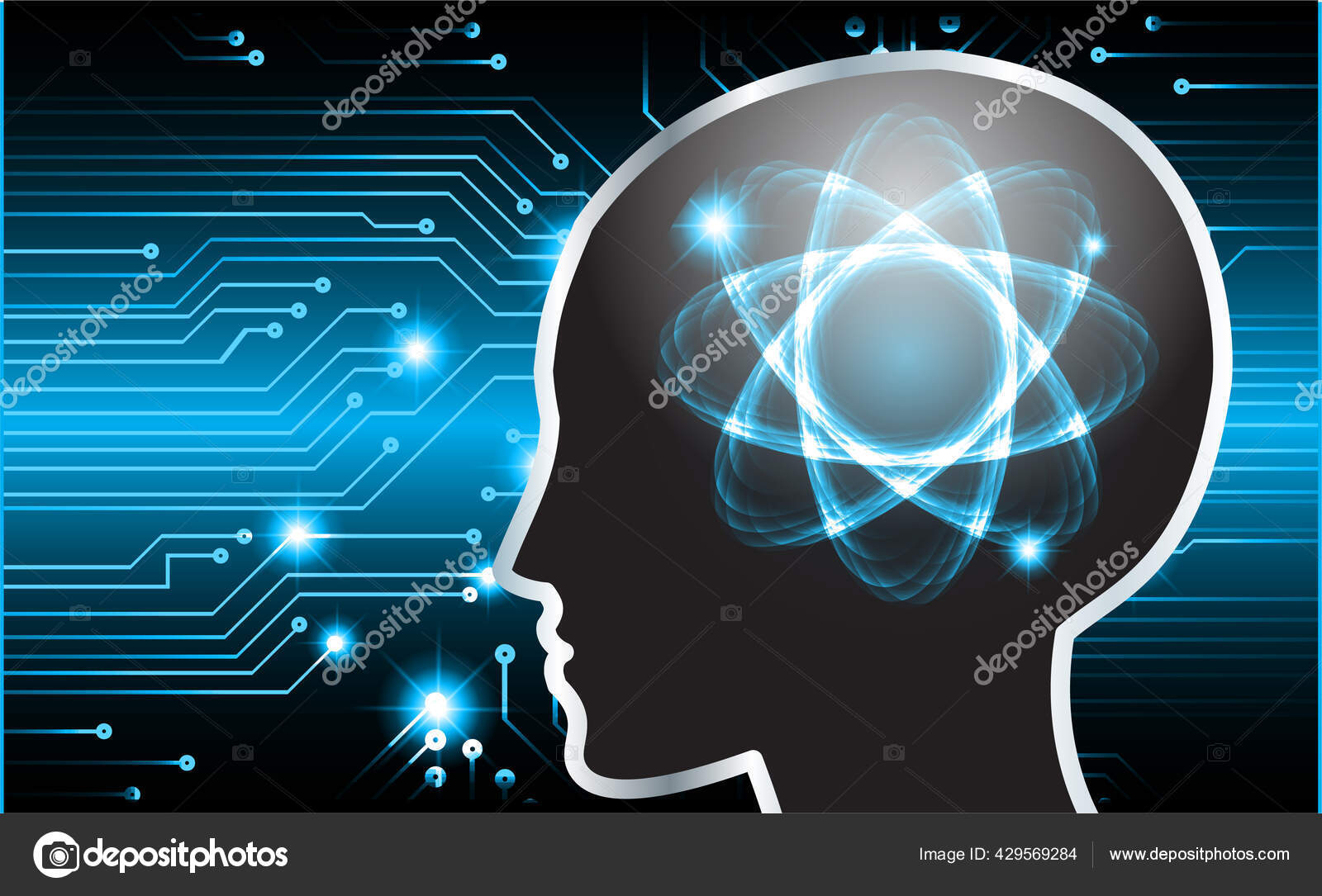Human Brain Circuit Board Stock Vector Image by ©titima157@gmail.com #429569284