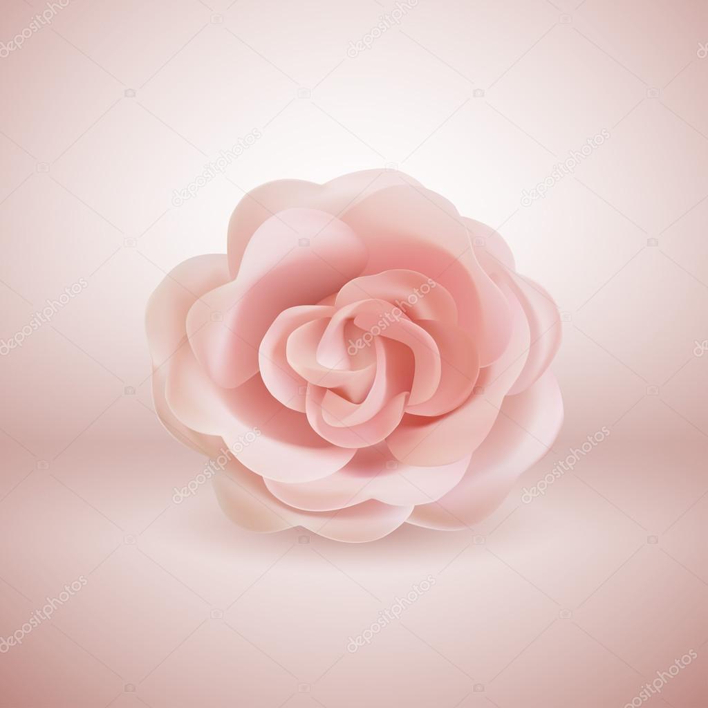 Rosa rosa hermosa Vector de stock #102288104 de ©Daria_Miazhevich