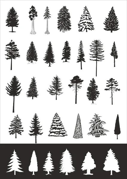 100,000 Pine tree Vector Images | Depositphotos