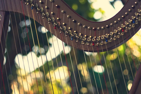 Harp bow Stock Photos, Royalty Free Harp bow Images | Depositphotos