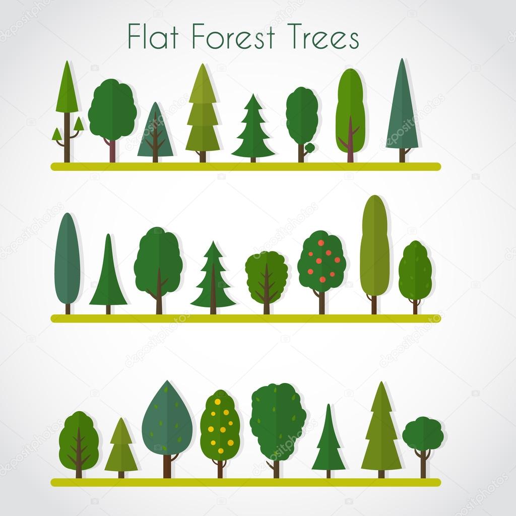 Forest elements - trees and fir-trees — Stock Vector © Elvetica #77299912