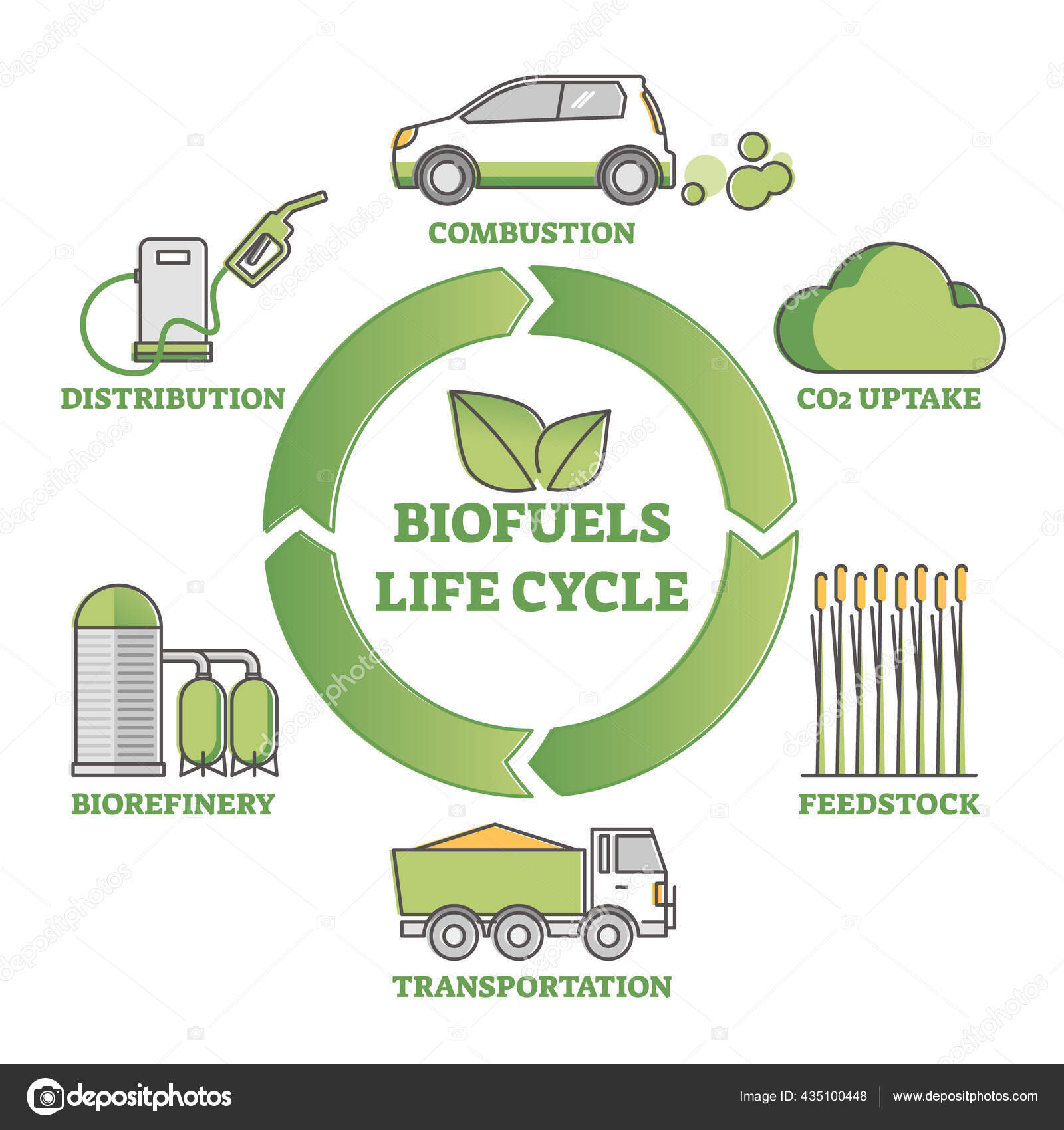 Biofuel Life Cycle Diagram As Production, Consumption, 40% OFF