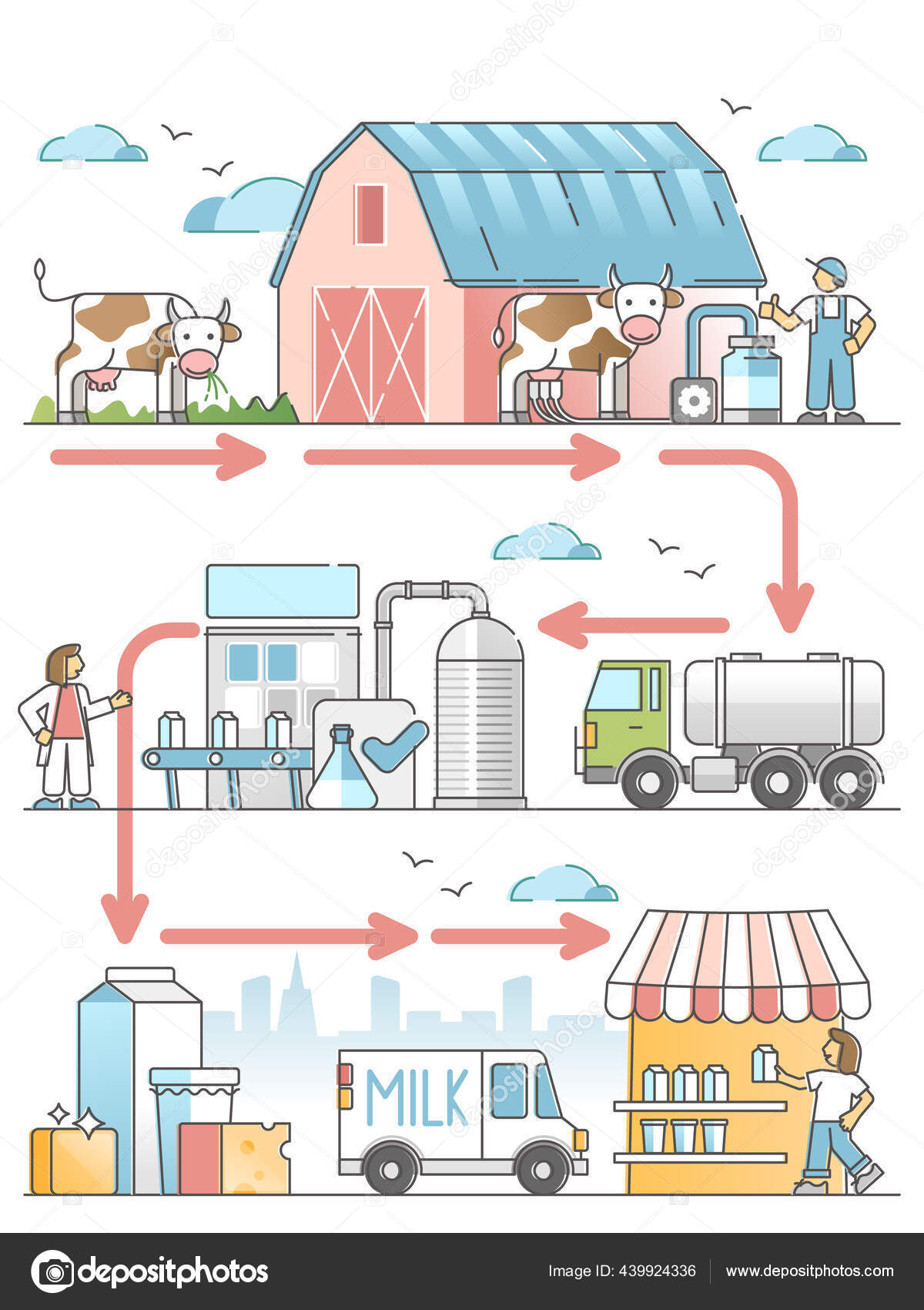 Milk production diagram with dairy industry process chain outline ...