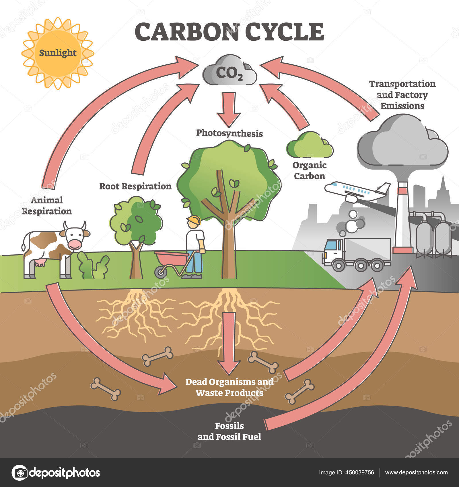 Carbon cycle with CO2 dioxide gas exchange process scheme outline ...