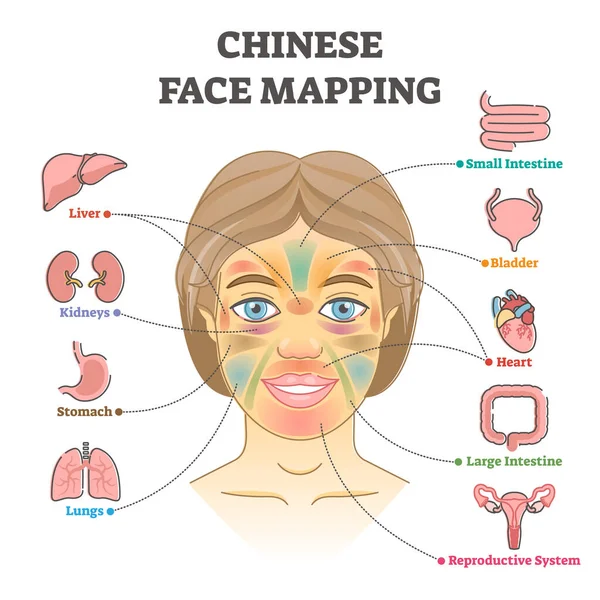 100,000 Face mapping Vector Images | Depositphotos