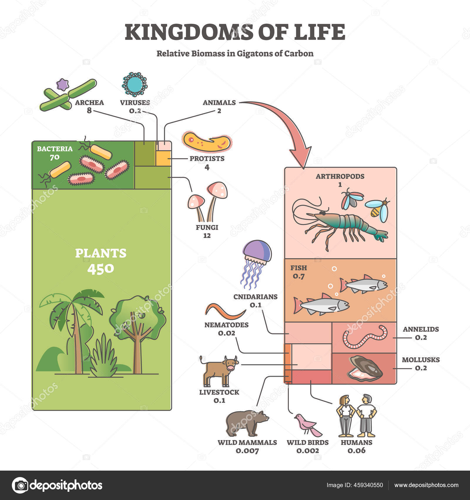 Kingdoms of life as labeled biological nature classification outline ...