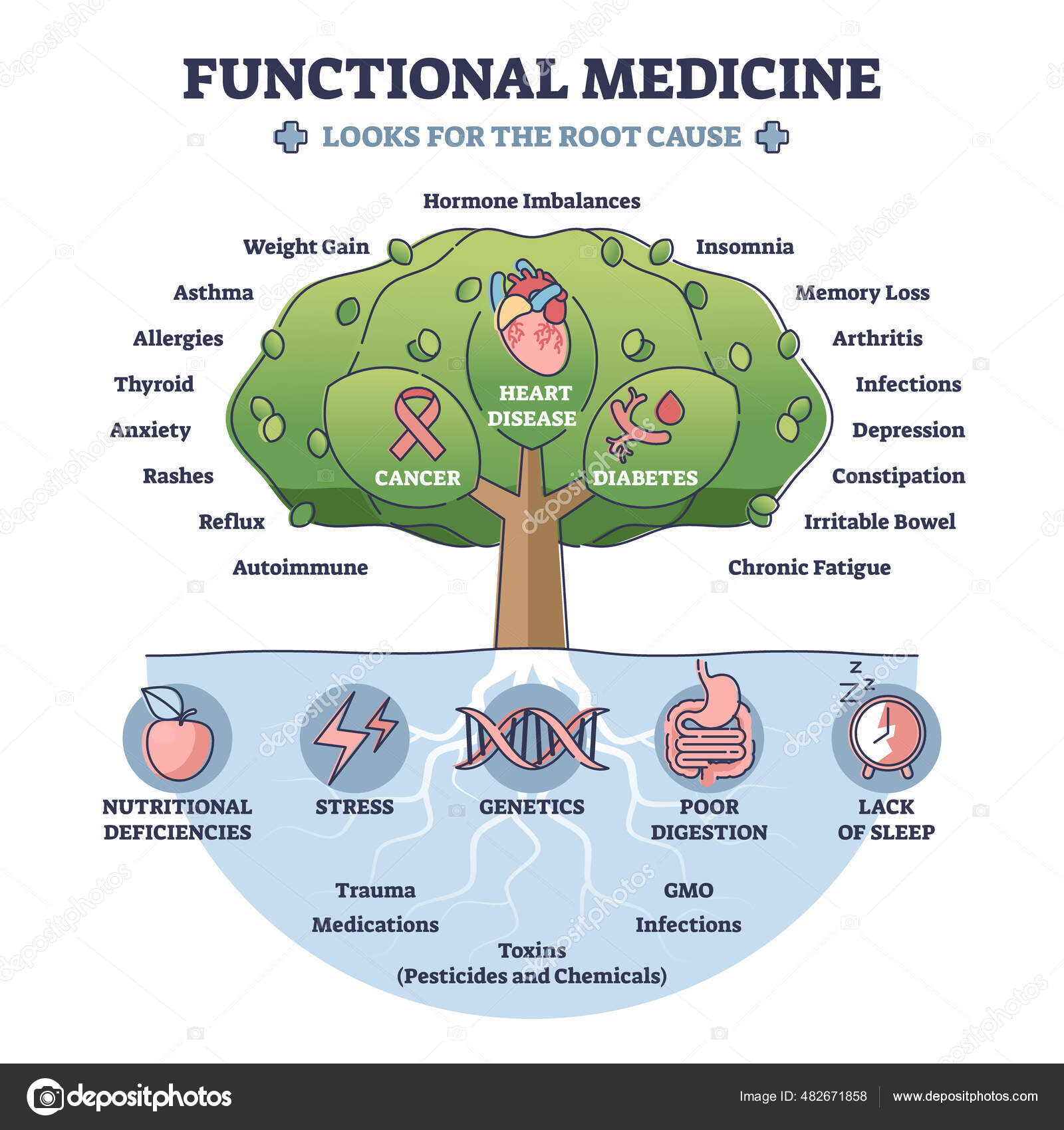 Medicina funcional como tratamiento con busca causa raíz esquema ...