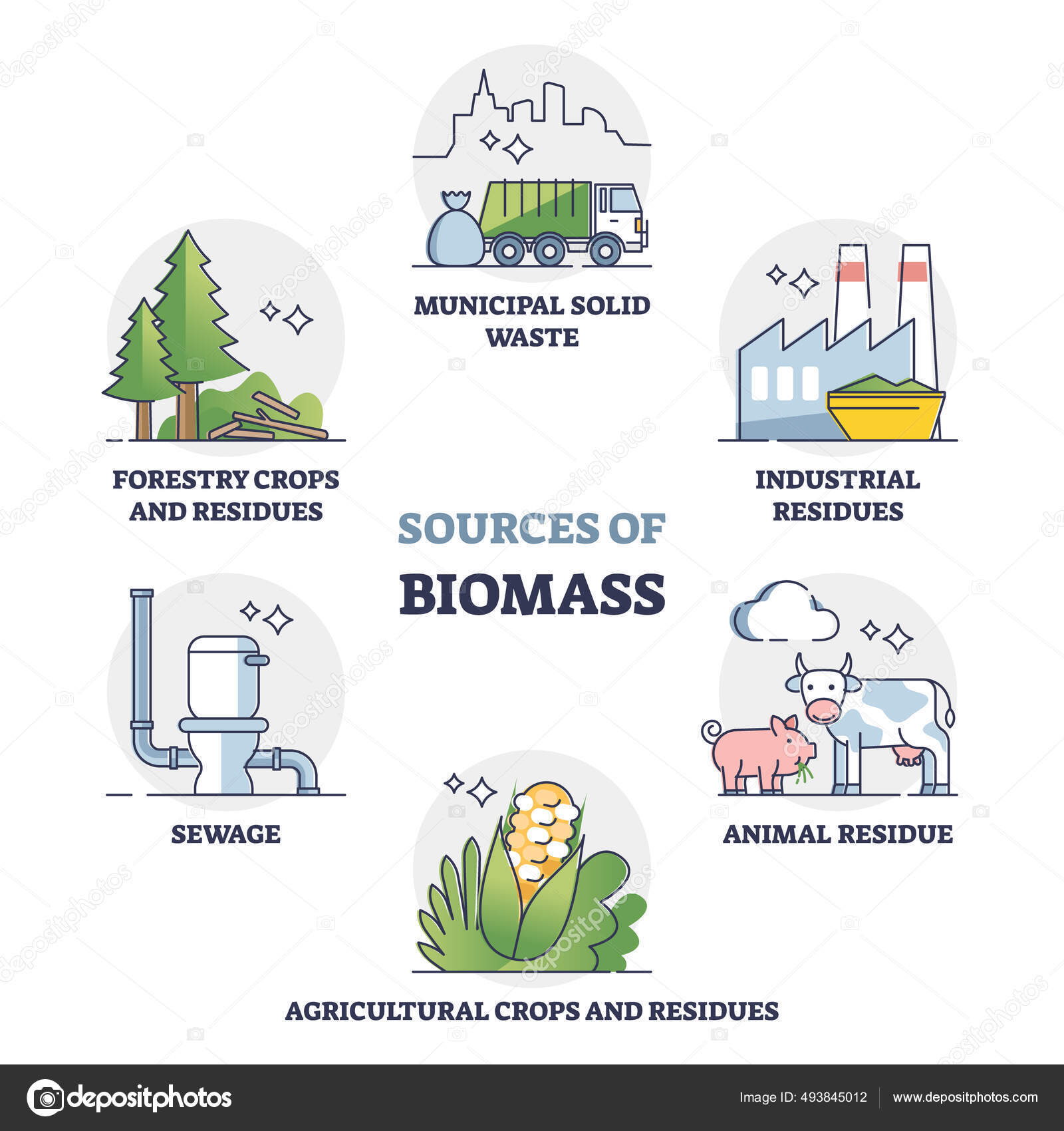 Biomassa Energie Voorbeelden