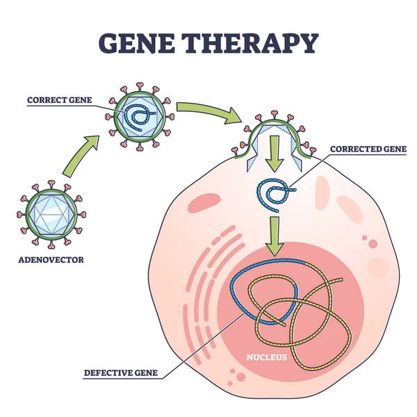 Gene Therapy Clip Art