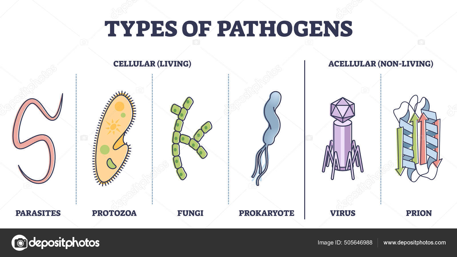 Vettoriale stockTipi di agenti patogeni, organismi virali cellulari e ...