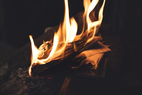 Book burning in flames, old memories vanished forever, all digitized ...