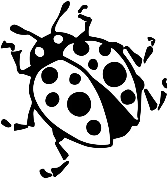 Catarinas Imágenes Vectoriales, Gráfico Vectorial de Catarinas ...