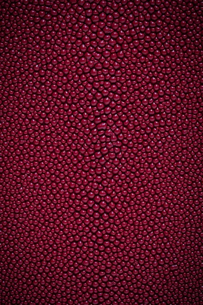Stingray leather Stock Photos, Royalty Free Stingray leather Images ...