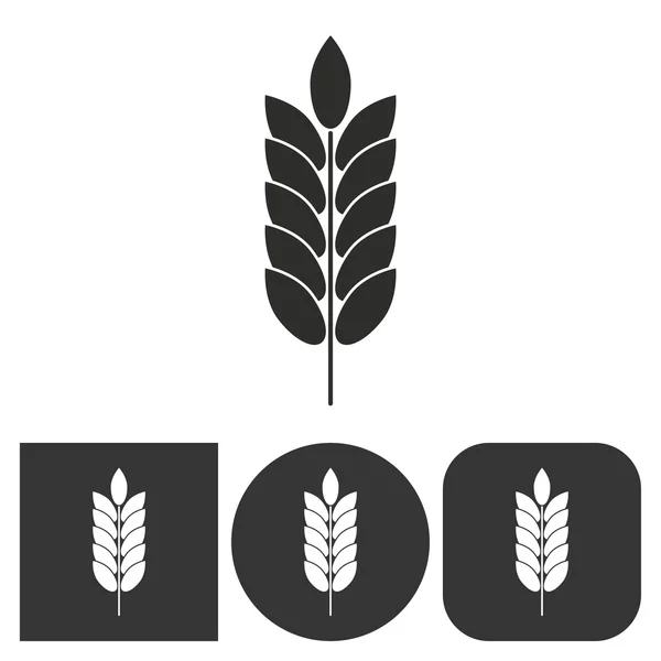 Barley vector icons. Stock Vector Image by ©lovemask #105648054