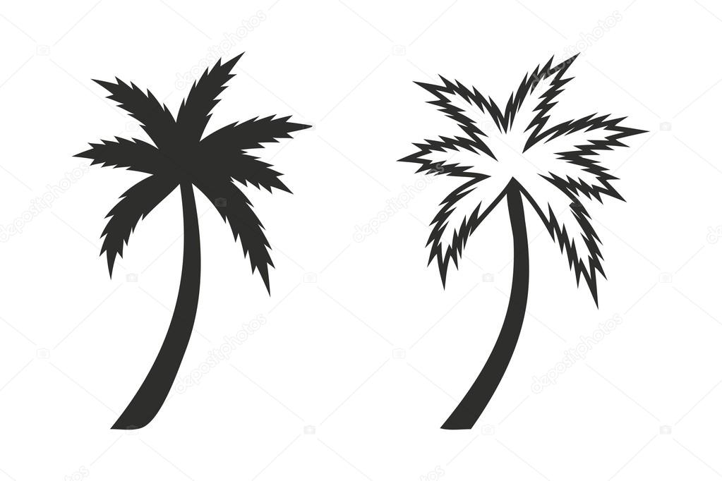 Palmeras Vector