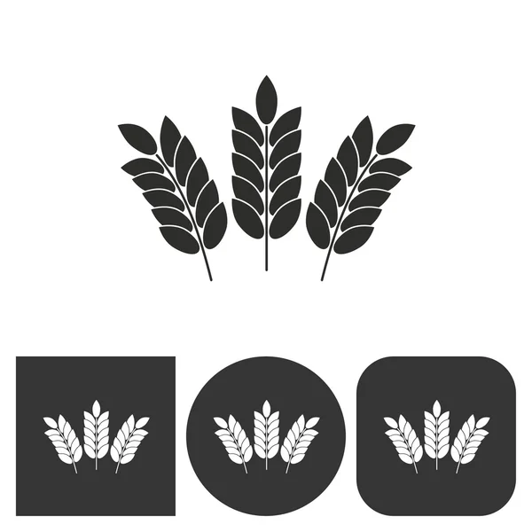 Barley vector icons. Stock Vector Image by ©lovemask #105648054