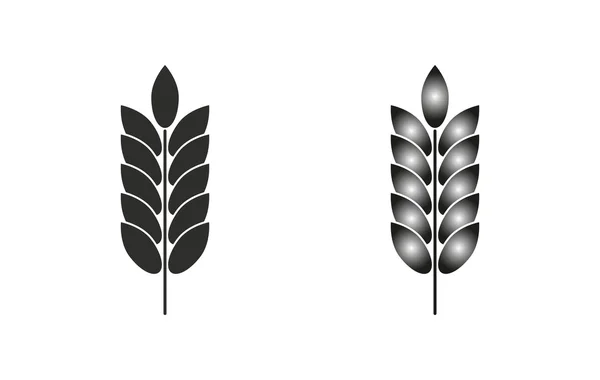 Barley vector icons. Stock Vector Image by ©lovemask #105648054