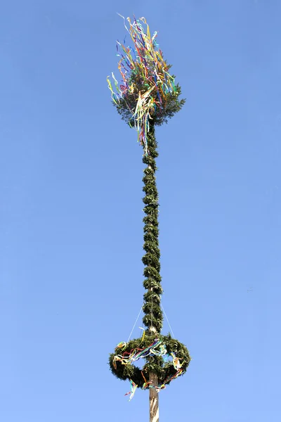 Mei tree images libres de droit, photos de Mei tree | Depositphotos