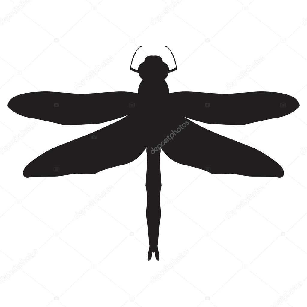 ilustración en blanco y negro de una libélula. Libélula aislada sobre ...