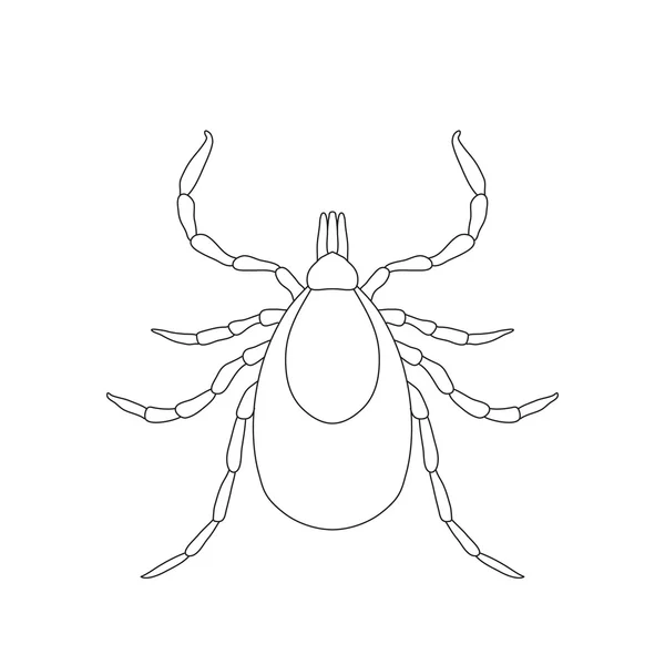 Tick Insectos Robaki Insekten Owady Kolorowanki Dzieci Insectes ...