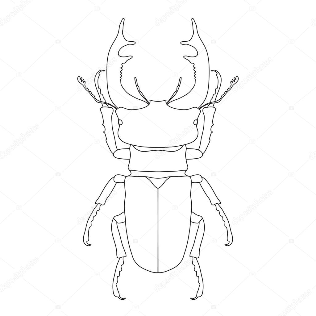 Egyptian Scarab Beetle Coloring Page Coloring Pages