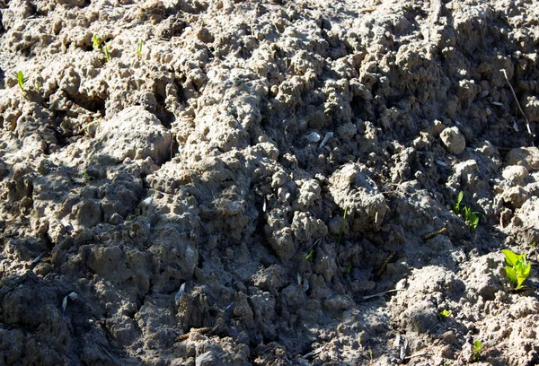 Background black coarse dark dirty loose earth — Stock Photo ...