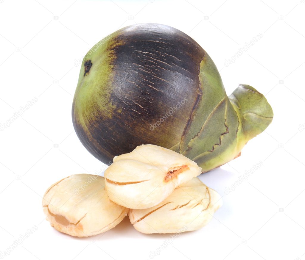 Toddy Palm,Palmyra palm on white background. Stock Photo by ©poungsaed ...