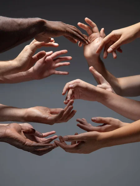 Diversity hands Stock Photos, Royalty Free Diversity hands Images ...
