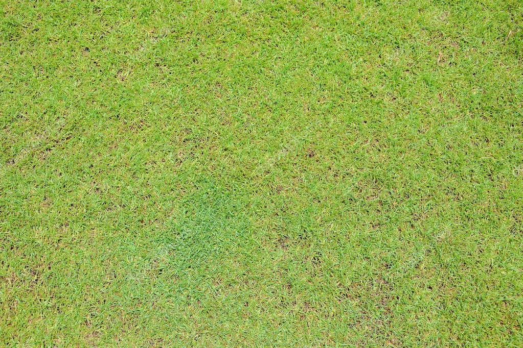 Green grass on ground texture background ⬇ Stock Photo, Image by ...