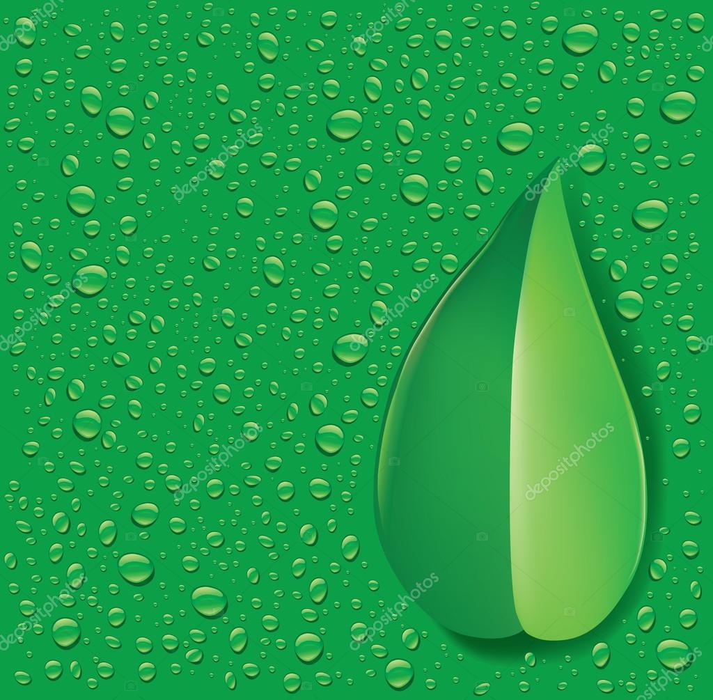 Many water drops on green background with fresh leaf Stock Vector Image ...