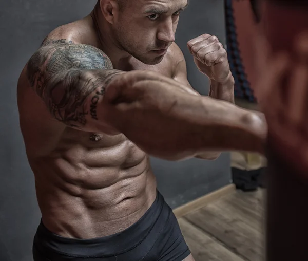 Fighter mixed martial arts training in the gym - Stock Image - Everypixel